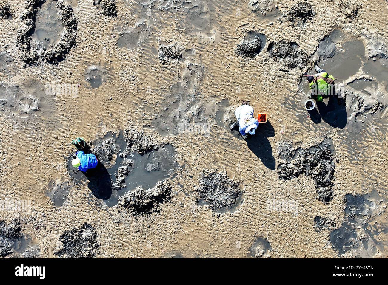 People go beachcombing at seaside in Qingdao City, east China's ...