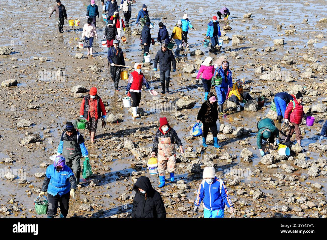 People go beachcombing at seaside in Qingdao City, east China's ...