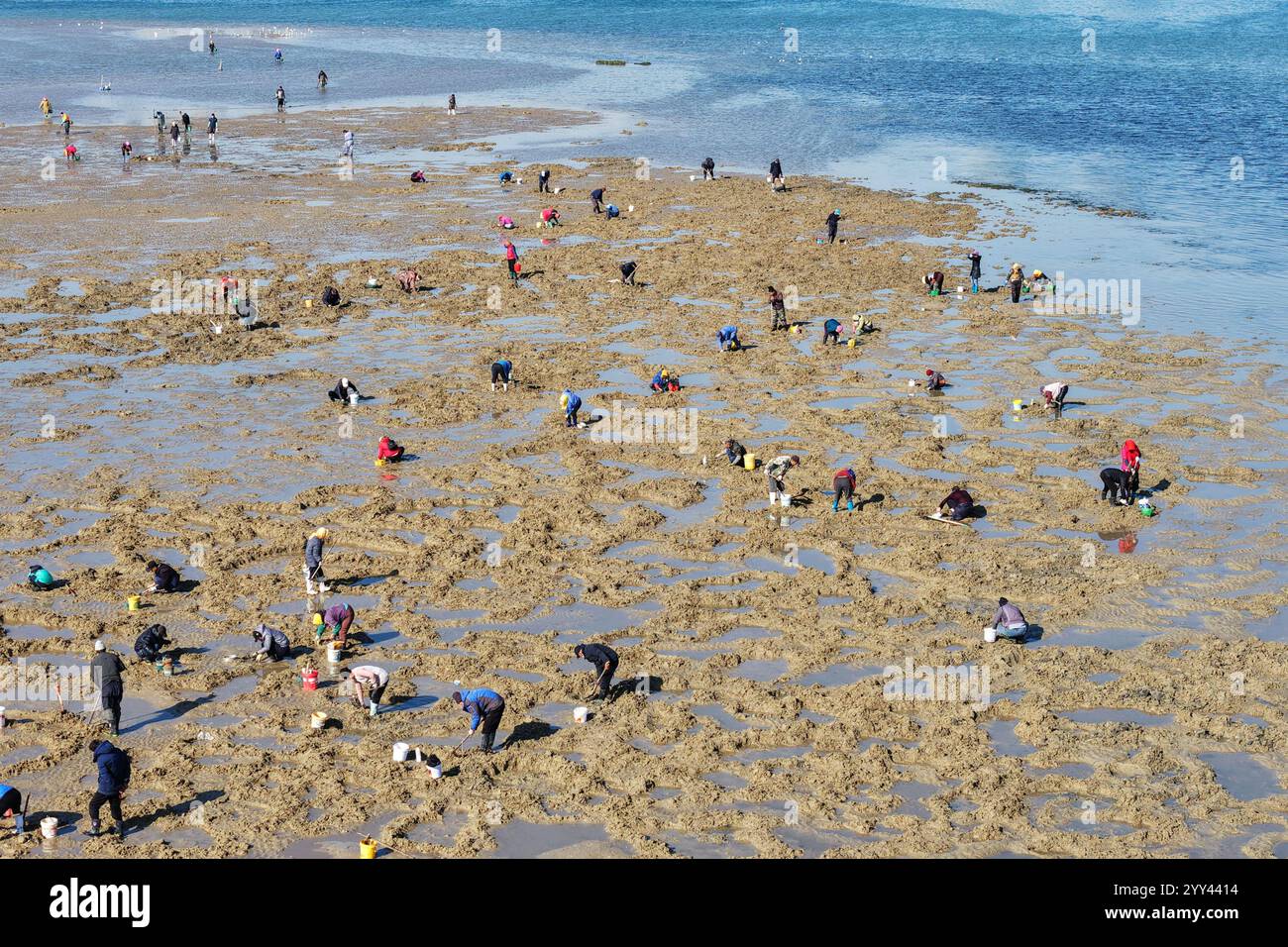 People go beachcombing at seaside in Qingdao City, east China's ...