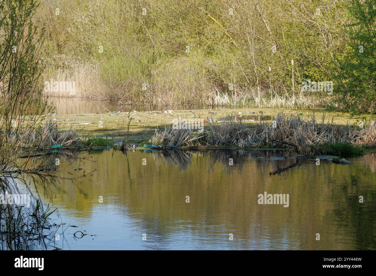 Contaminated water and a pile of smelly and toxic residues. Ecological ...