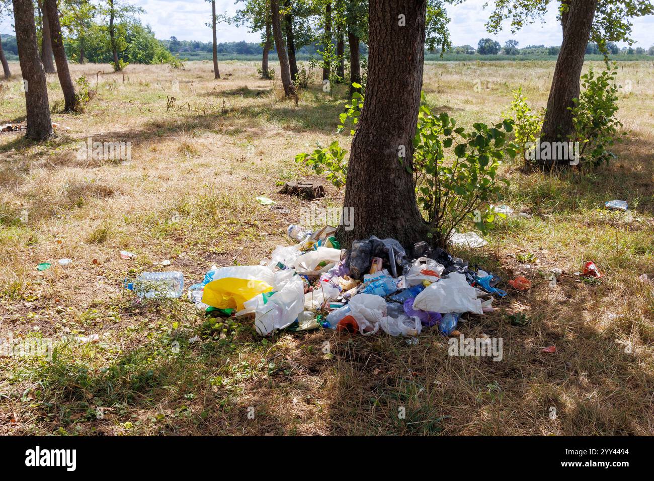 A pile of food waste and other garbage in the forest. There is a lot of ...