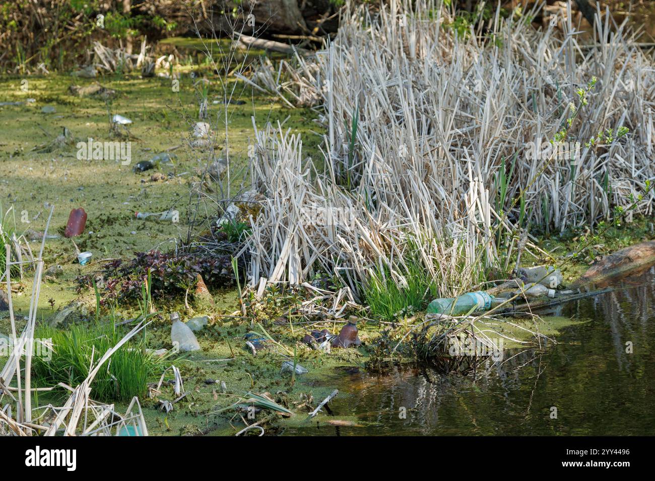 Contaminated water and a pile of smelly and toxic residues. Ecological ...