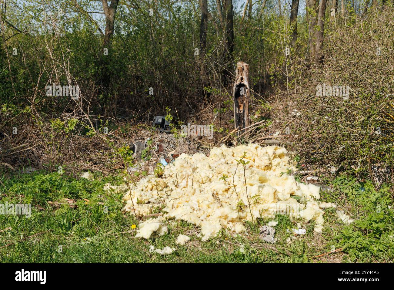 Terrible landfill in the woods. Concept of anthropogenic pollution of ...