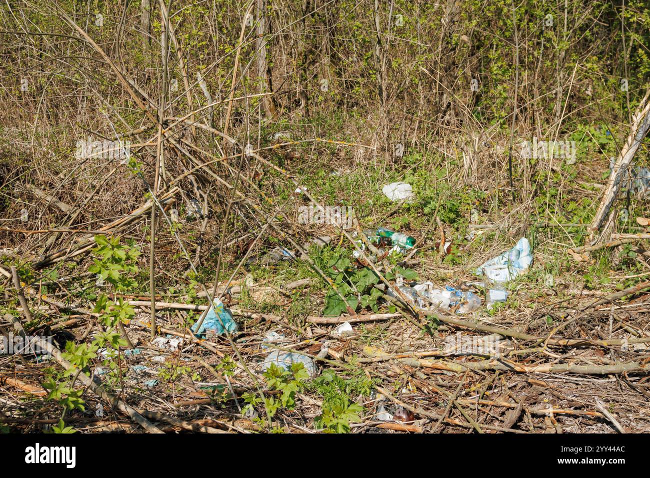 Terrible landfill in the woods. Concept of anthropogenic pollution of ...