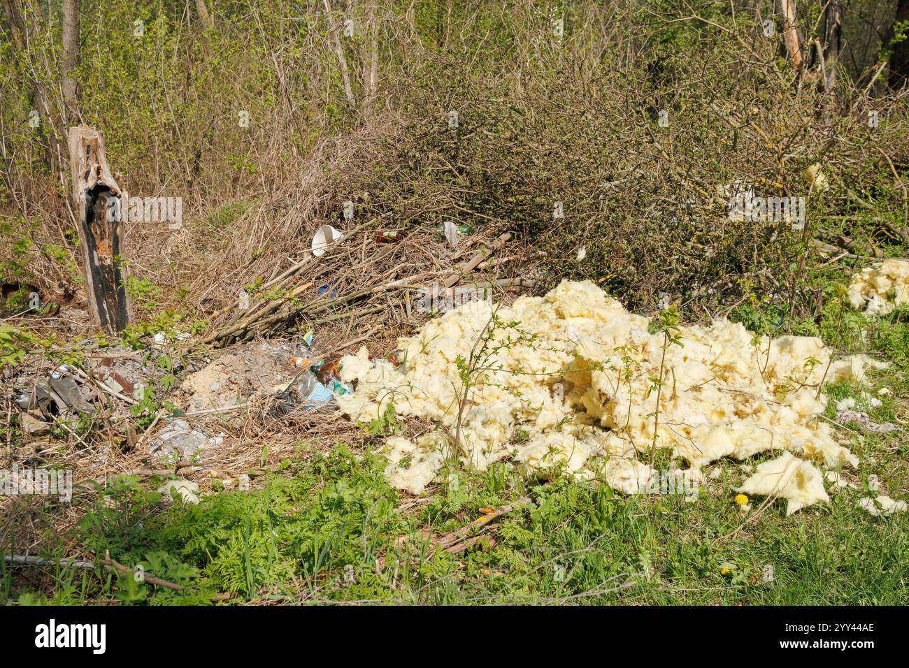 Terrible landfill in the woods. Concept of anthropogenic pollution of ...