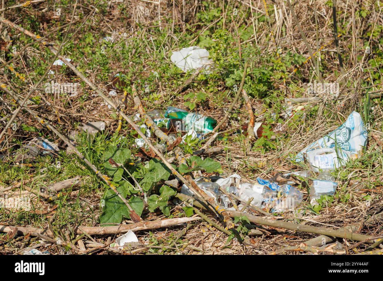 Terrible landfill in the woods. Concept of anthropogenic pollution of ...