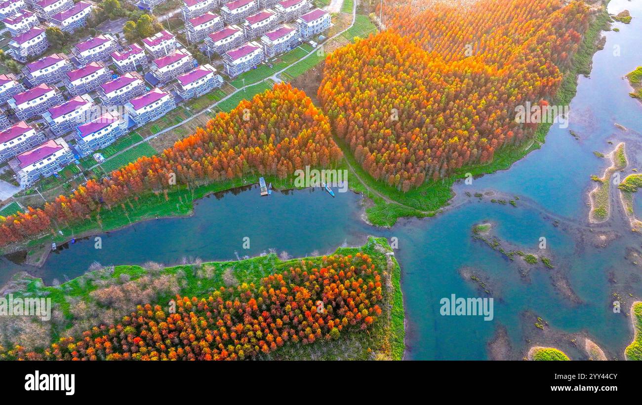 Aerial photo shows the winter scenery of a water forest in Chun'an ...