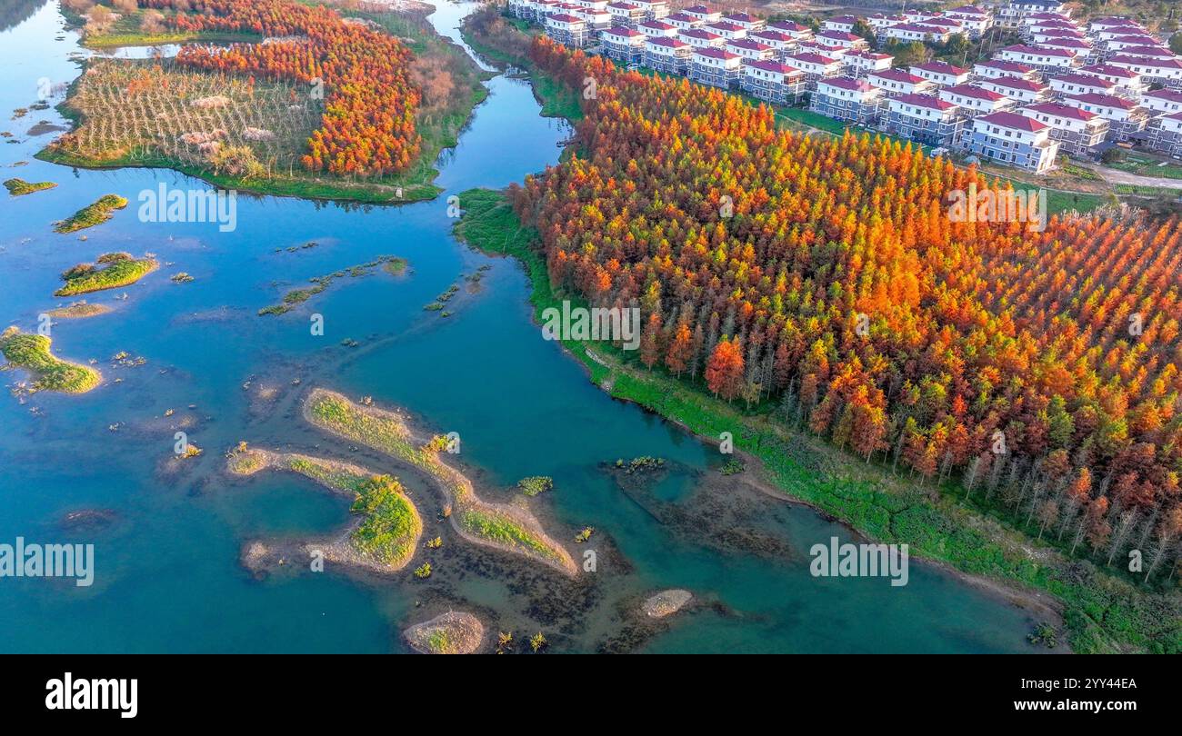 Aerial photo shows the winter scenery of a water forest in Chun'an ...