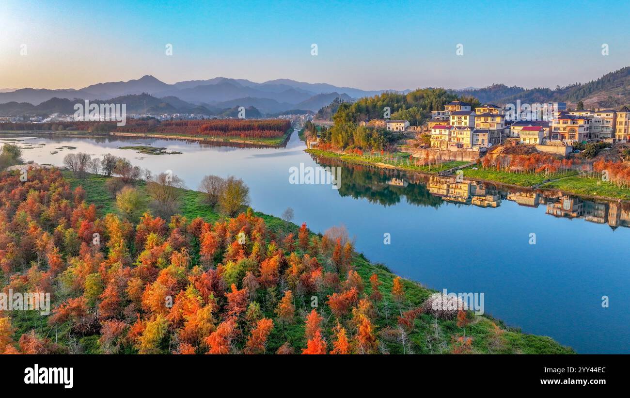 Aerial photo shows the winter scenery of a water forest in Chun'an ...