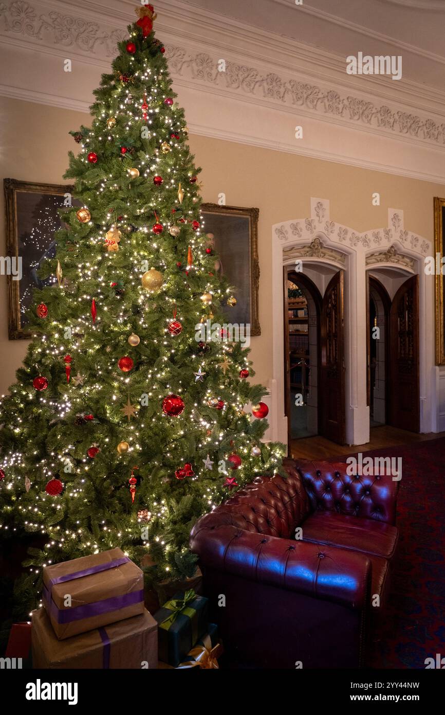 Cardiff castle christmas tree hi-res stock photography and images - Alamy