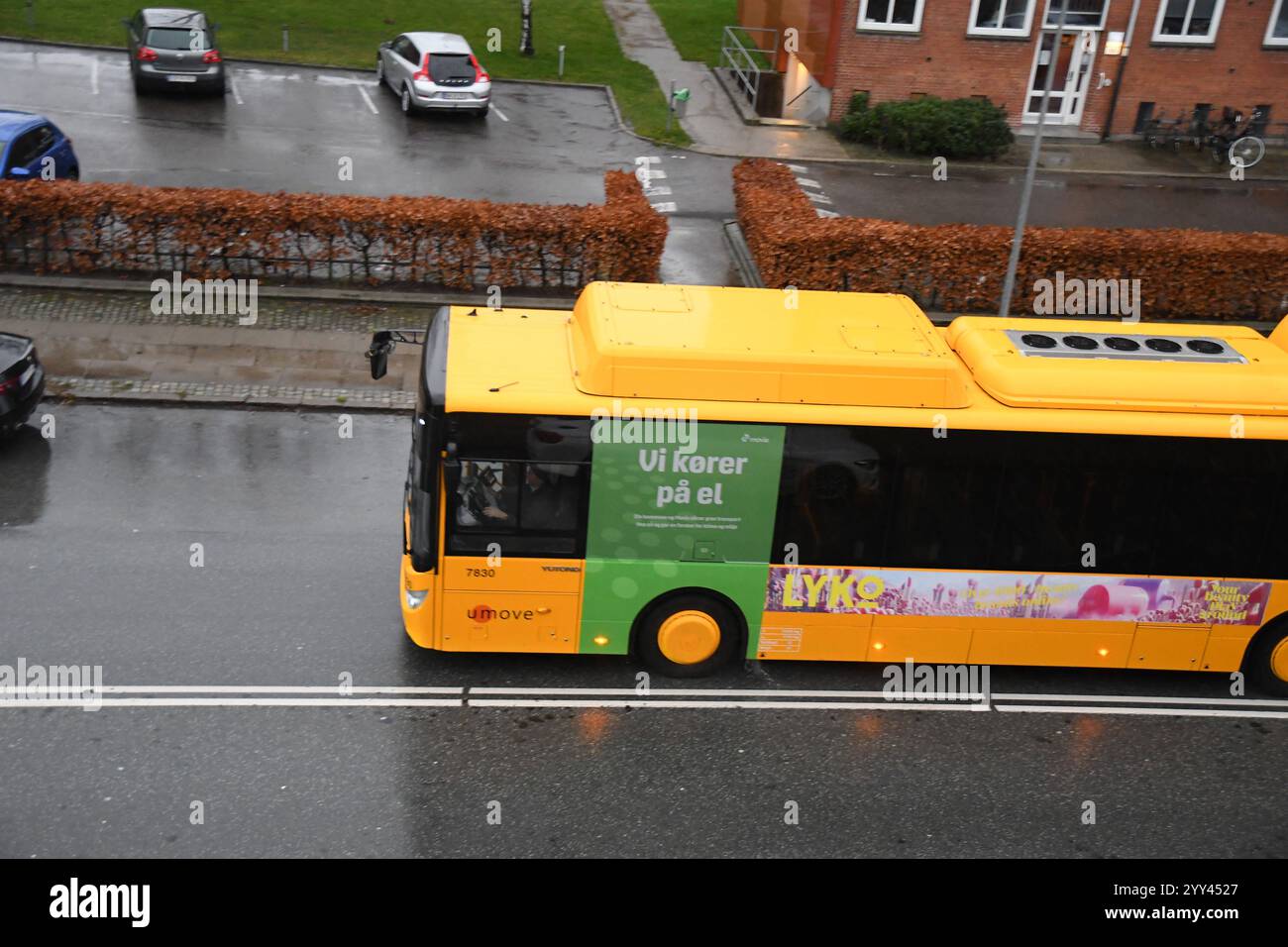 Copenhagen/ DenmarK/19 december 2024/Denmakrs public bus sstem runs on ...