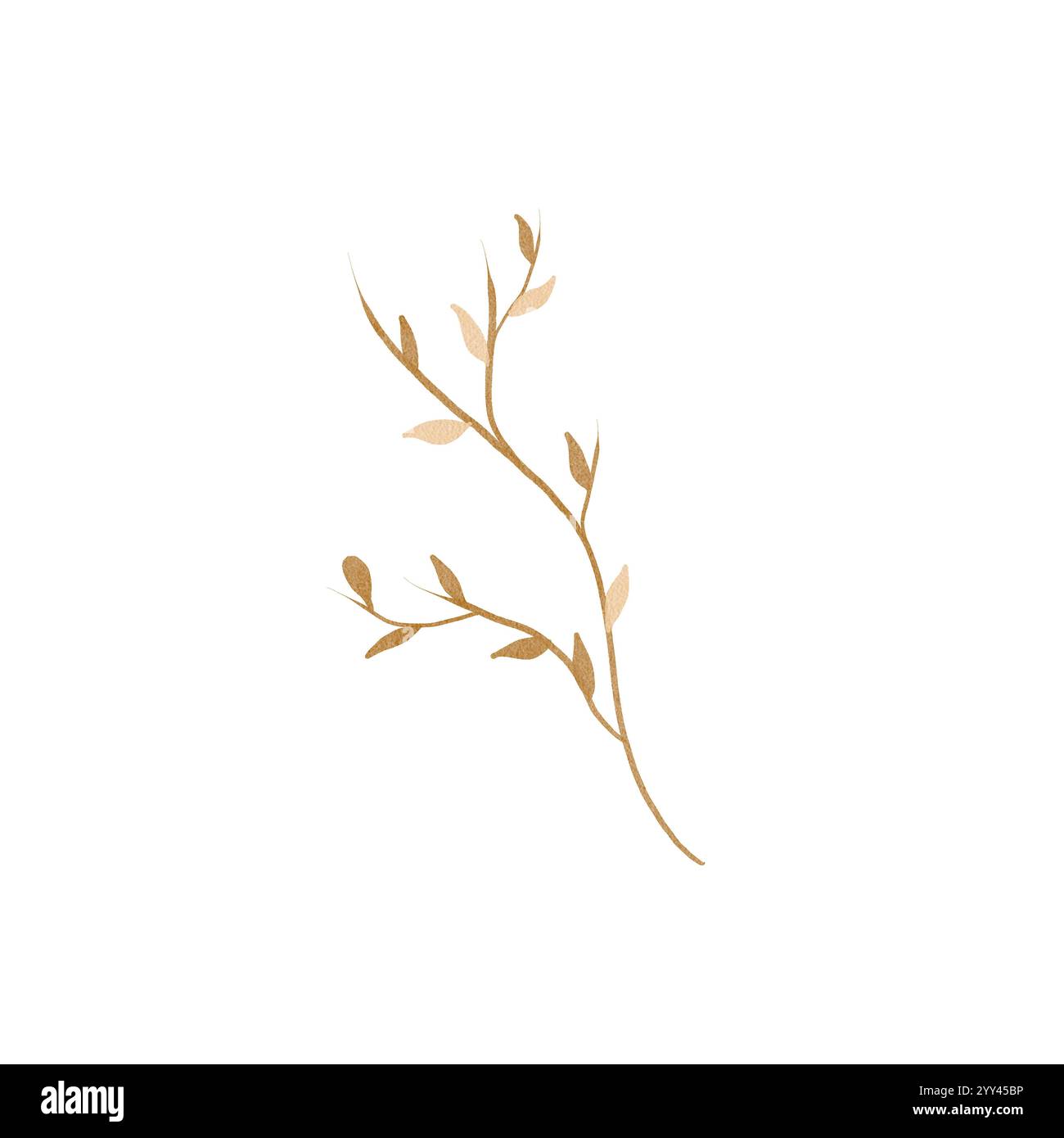 The twig is dry, with a golden texture, autumnal. Hand drawn watercolor ...