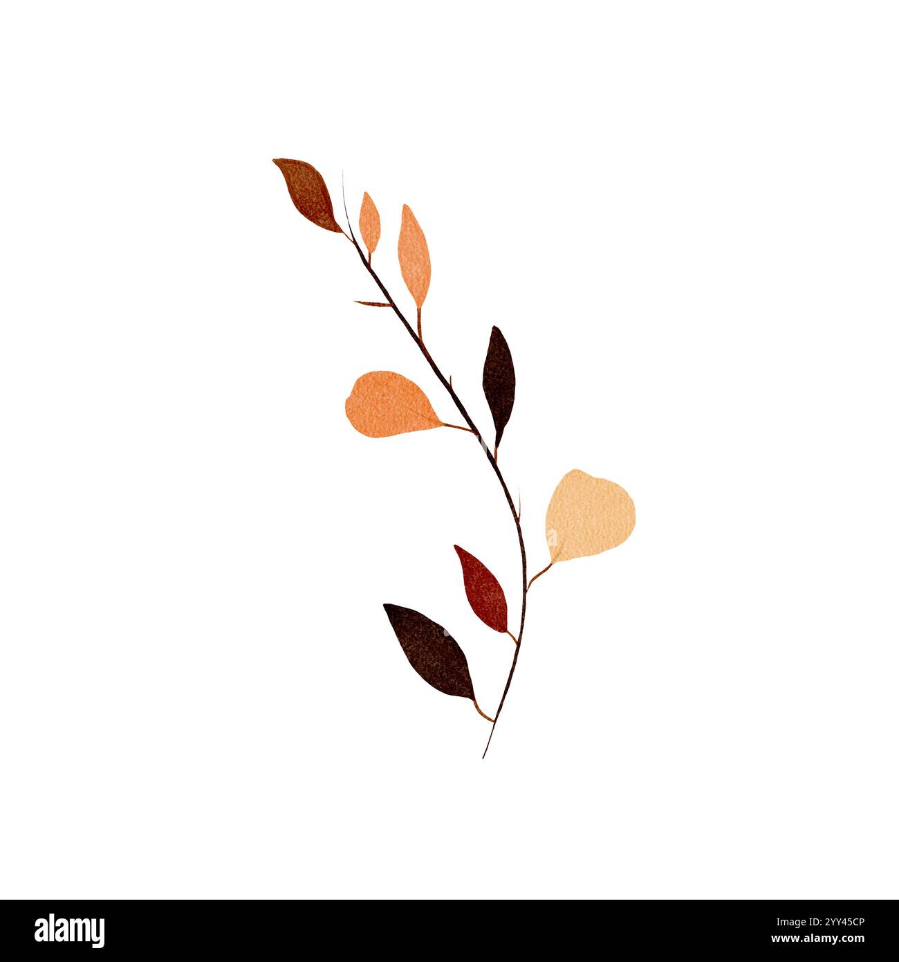 The twig is dry, with a golden texture, autumnal. Hand drawn watercolor ...