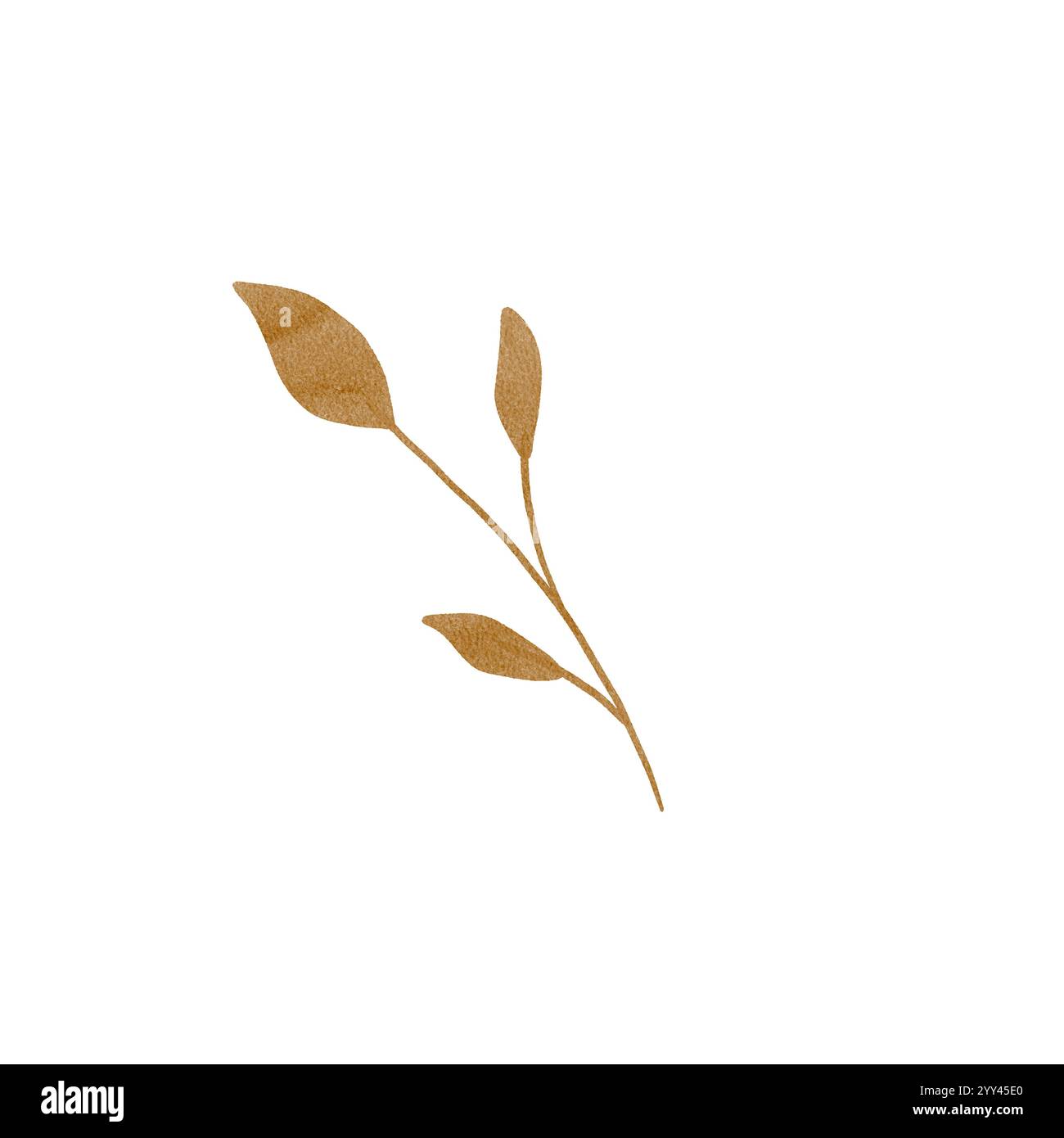 The twig is dry, with a golden texture, autumnal. Hand drawn watercolor ...