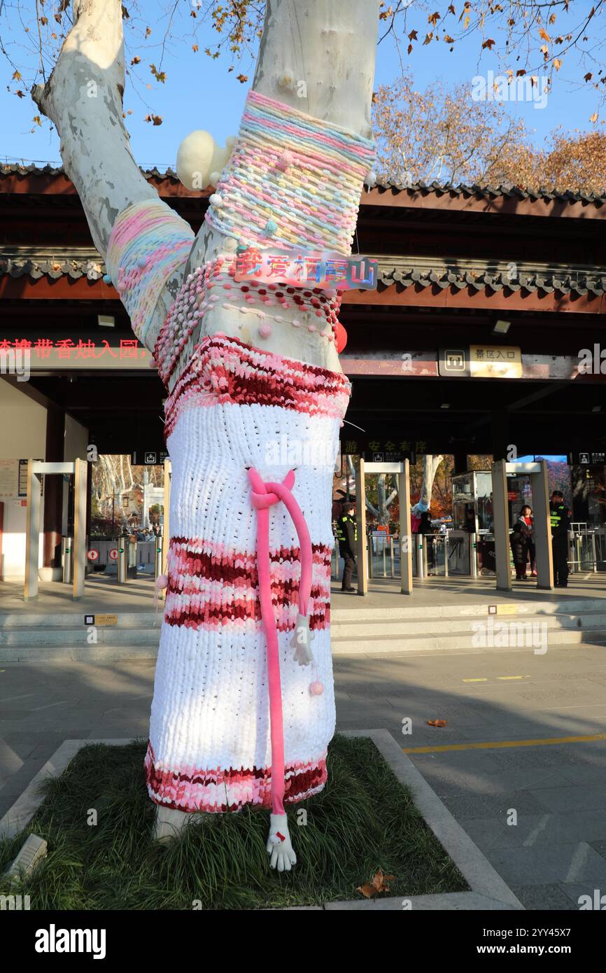 Trees on the street are put on brightly colored "sweaters" for winter ...
