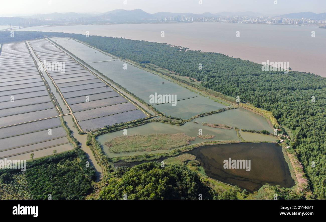 Shenzhen, China's Guangdong Province. 27th Nov, 2024. An aerial drone ...