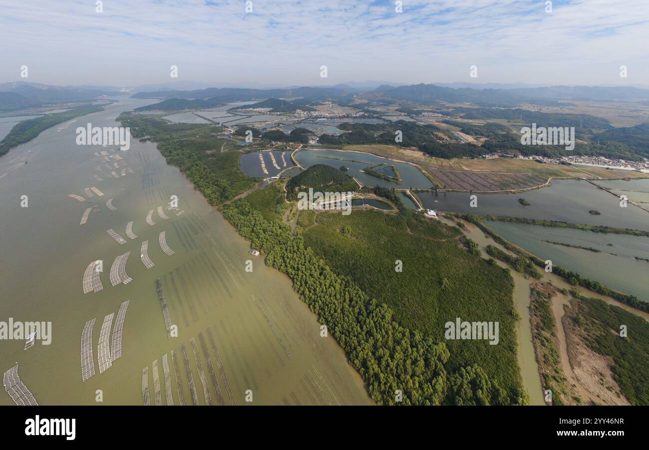 Shenzhen, China's Guangdong Province. 18th Dec, 2024. An aerial drone ...