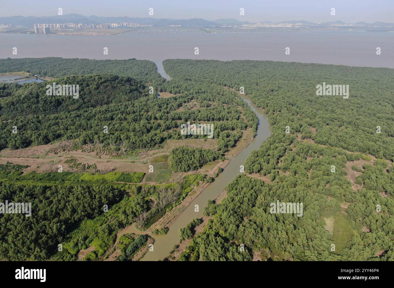 Shenzhen, China's Guangdong Province. 27th Nov, 2024. An aerial drone ...