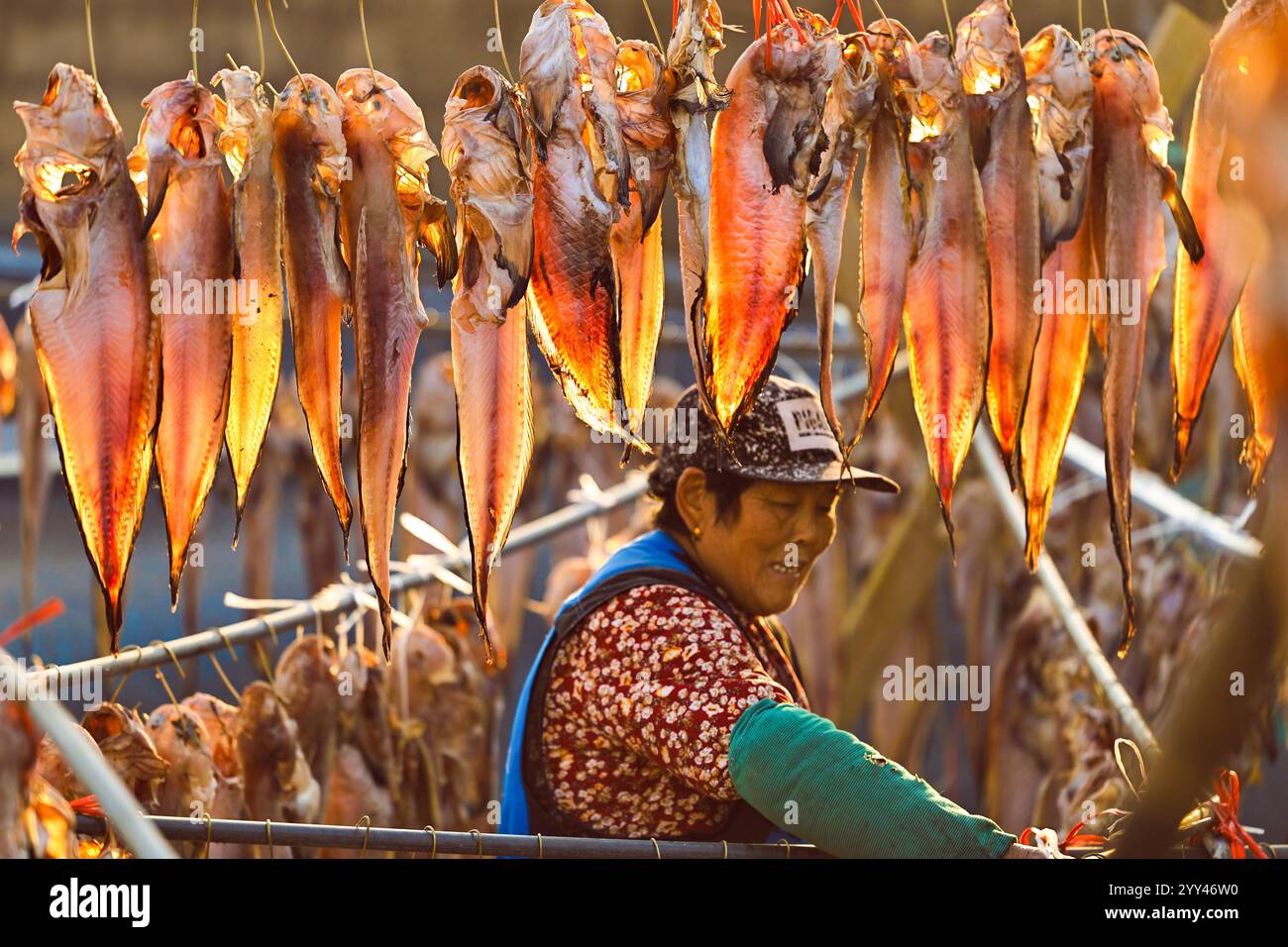 Fishermen dry fish in the sun in Rizhao City, east China's Shandong ...