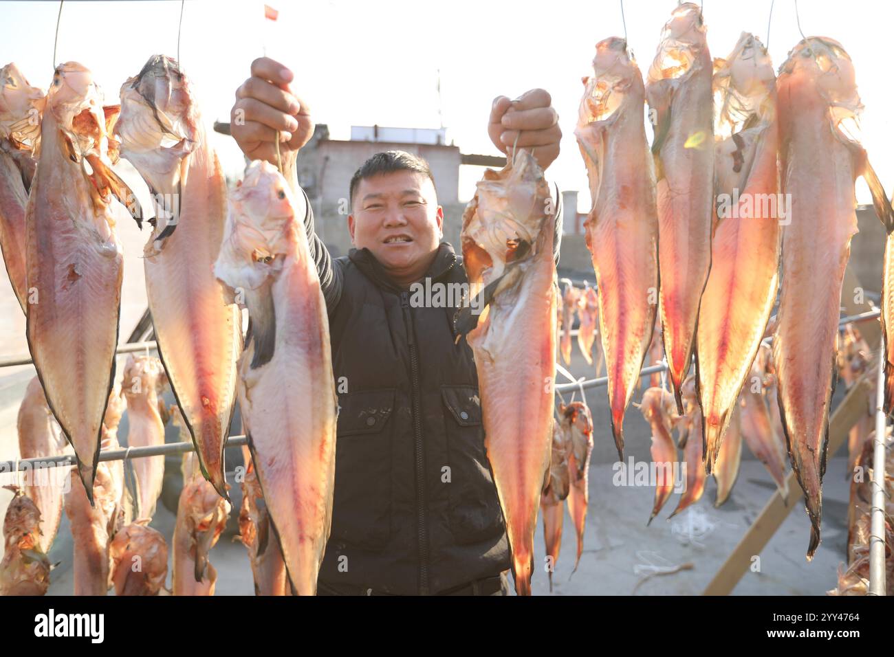 Fishermen dry fish in the sun in Rizhao City, east China's Shandong ...