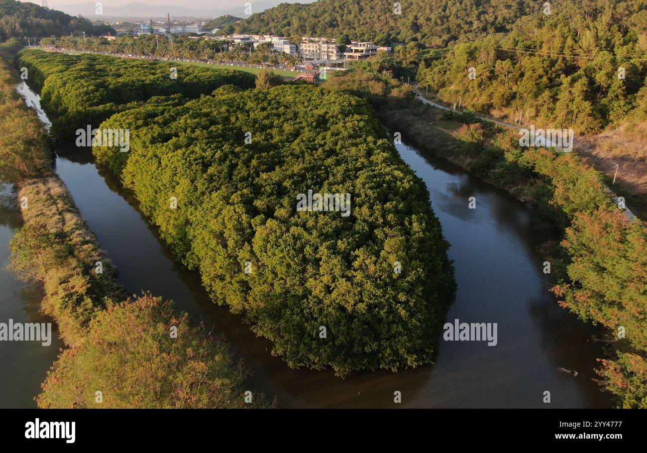 Taishan, China's Guangdong Province. 18th Dec, 2024. An aerial drone ...