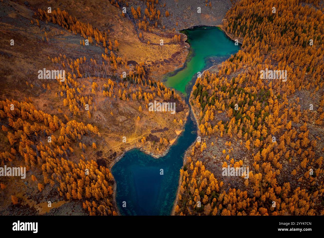 Image highlights stunning beauty hi-res stock photography and images ...