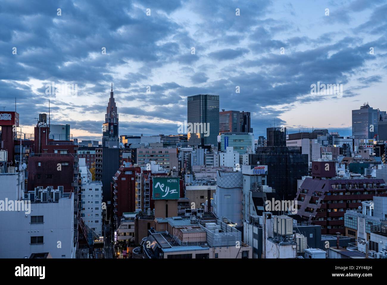 Tokyo japan december 2024 view hi-res stock photography and images - Alamy