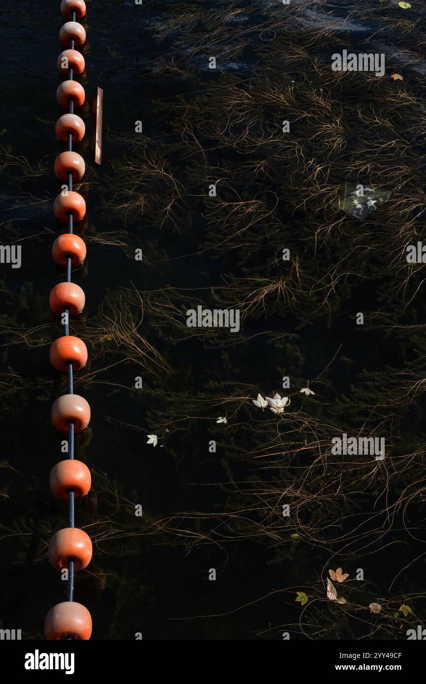 Floats, weed and fallen leaves in the river, Stockholm, Sweden Stock ...