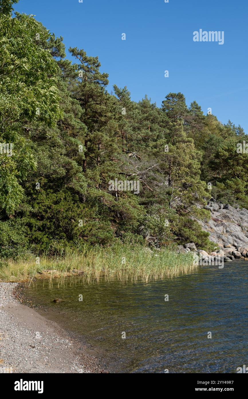 Grinda, in the Stockholm archipelago, Sweden Stock Photo - Alamy