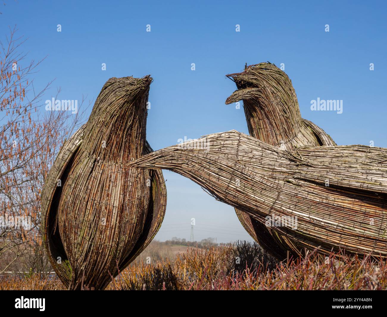 Bird sculpture made of cane at Rushden Lakes, Northamptonshire, UK; it ...