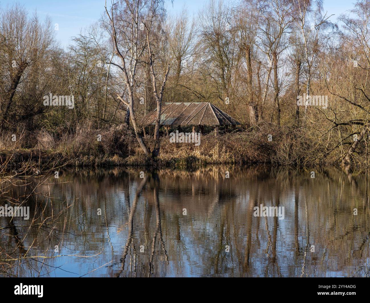Winter view across the nature reserve at Rushden Lakes ...