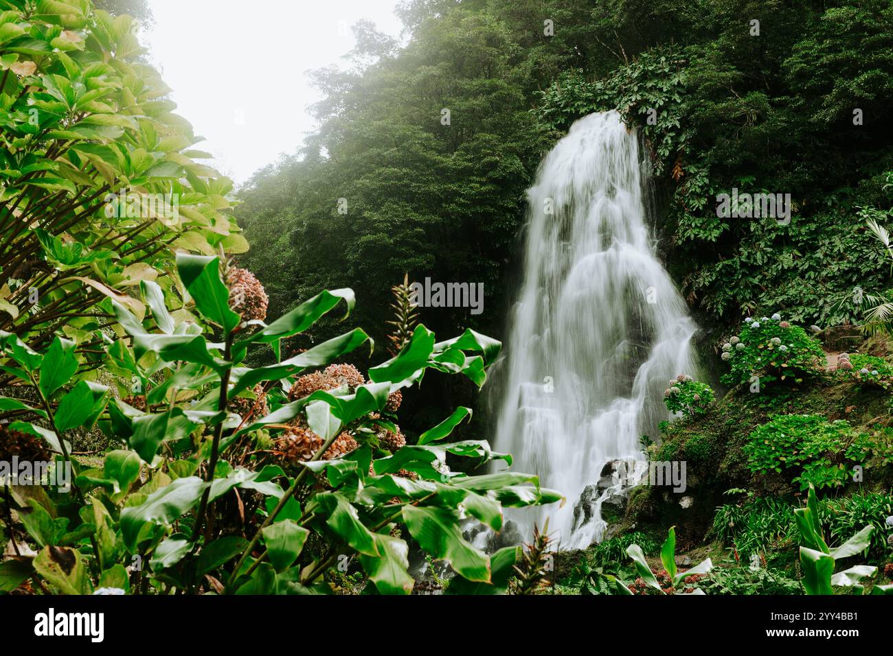 Waterfall with green landscape around, Azores nature, explore Portugal ...