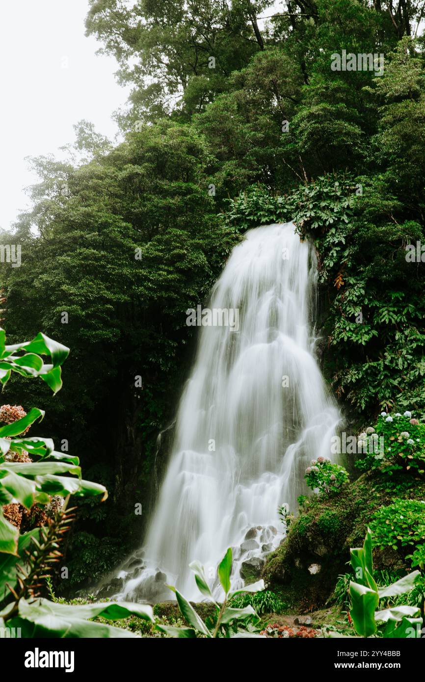 Waterfall with green landscape around, Azores nature, explore Portugal ...