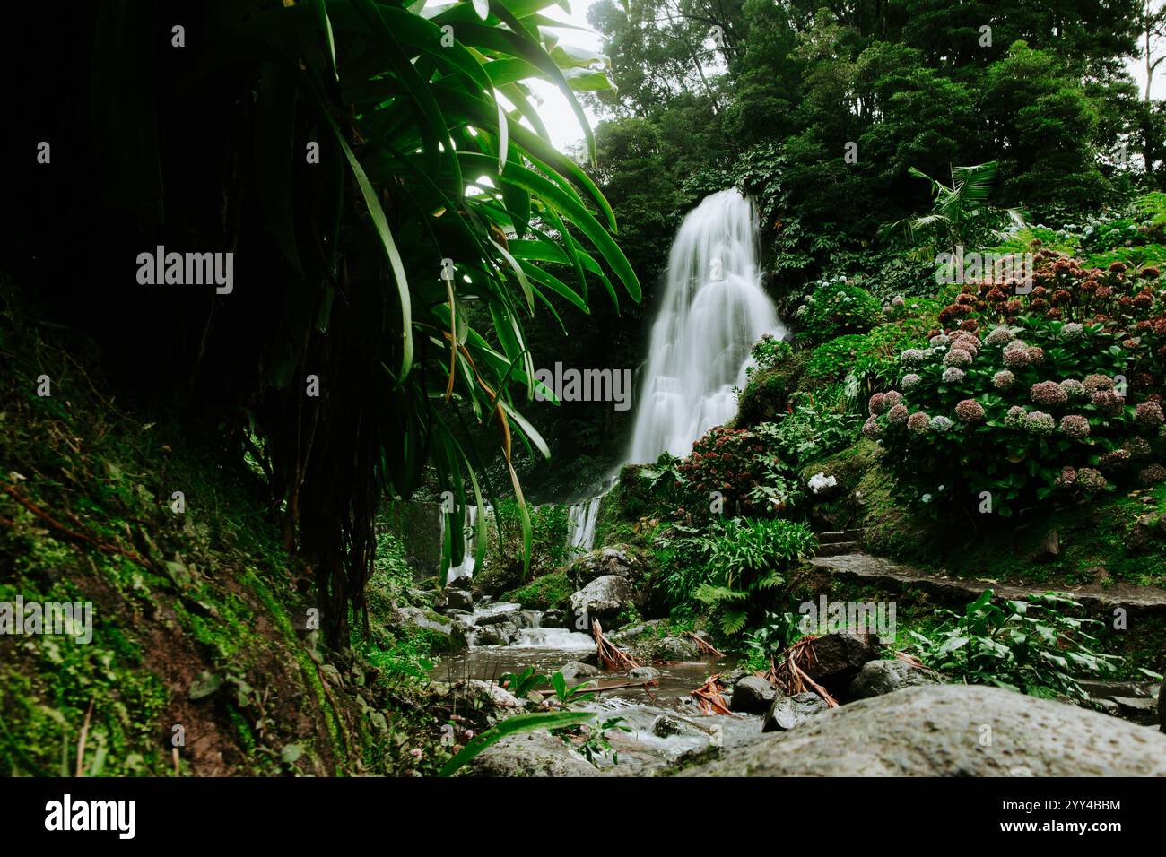 Waterfall with green landscape around, Azores nature, explore Portugal ...