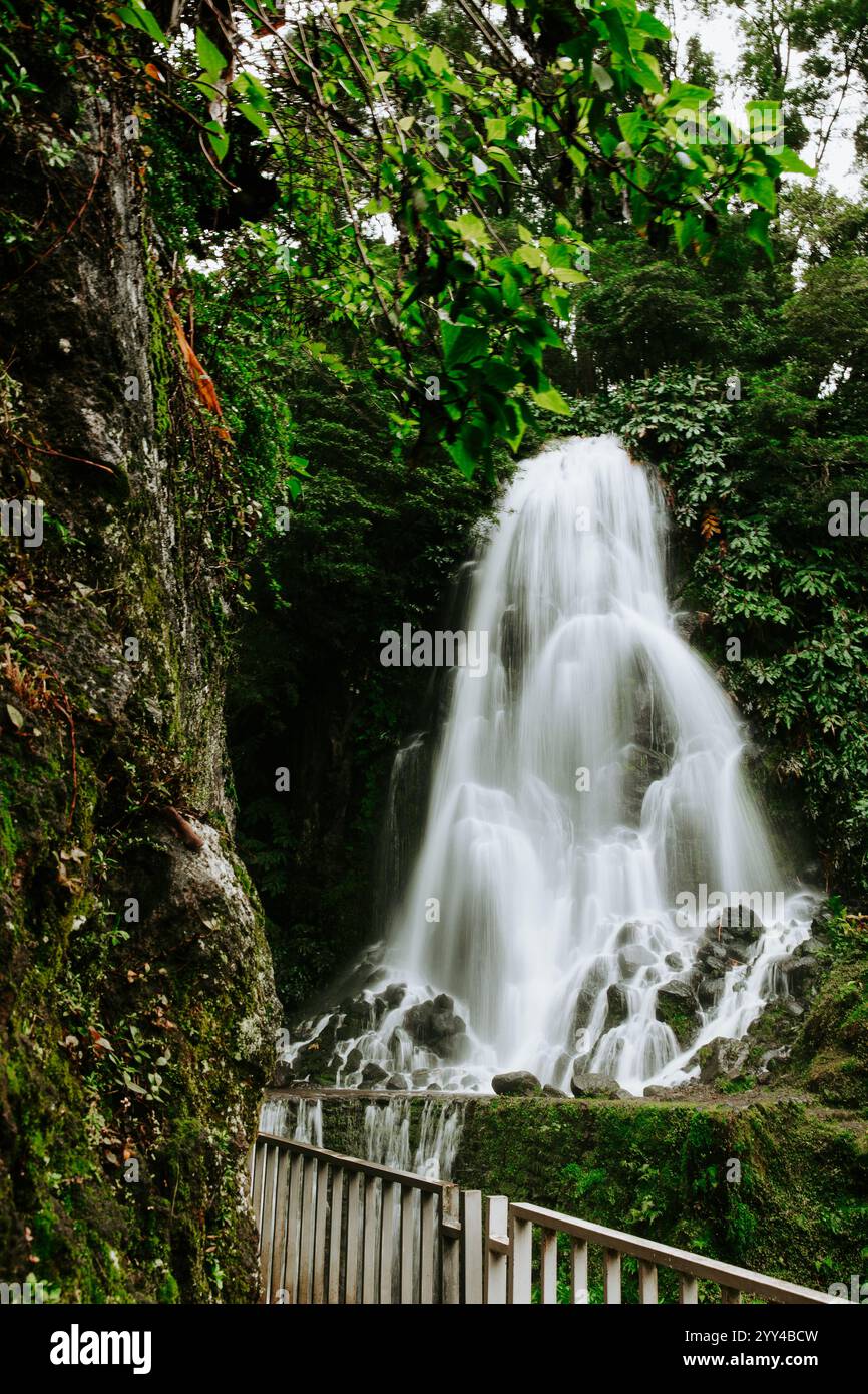 Waterfall with green landscape around, Azores nature, explore Portugal ...