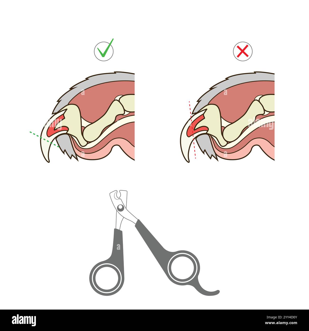 How to cut the claws hi-res stock photography and images - Alamy