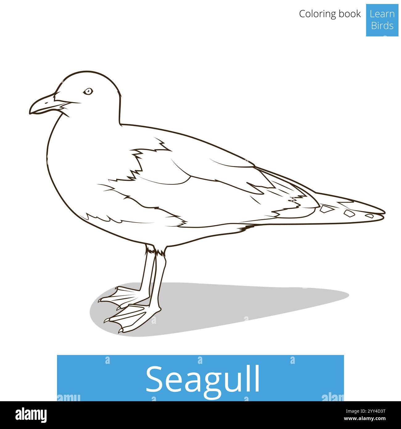 Seagull cartoon hi-res stock photography and images - Alamy