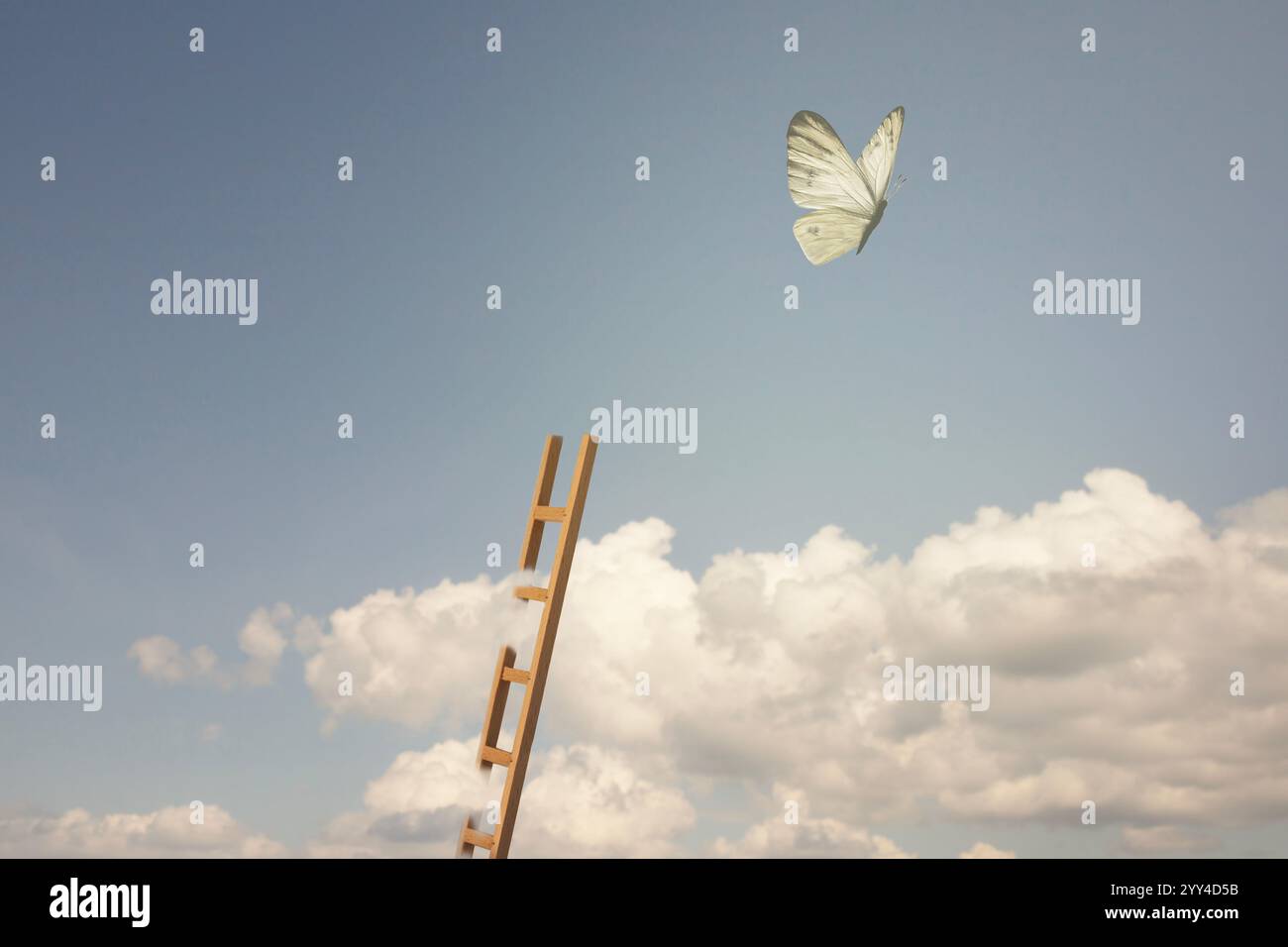 Butterfly flying in the sky hi-res stock photography and images - Alamy