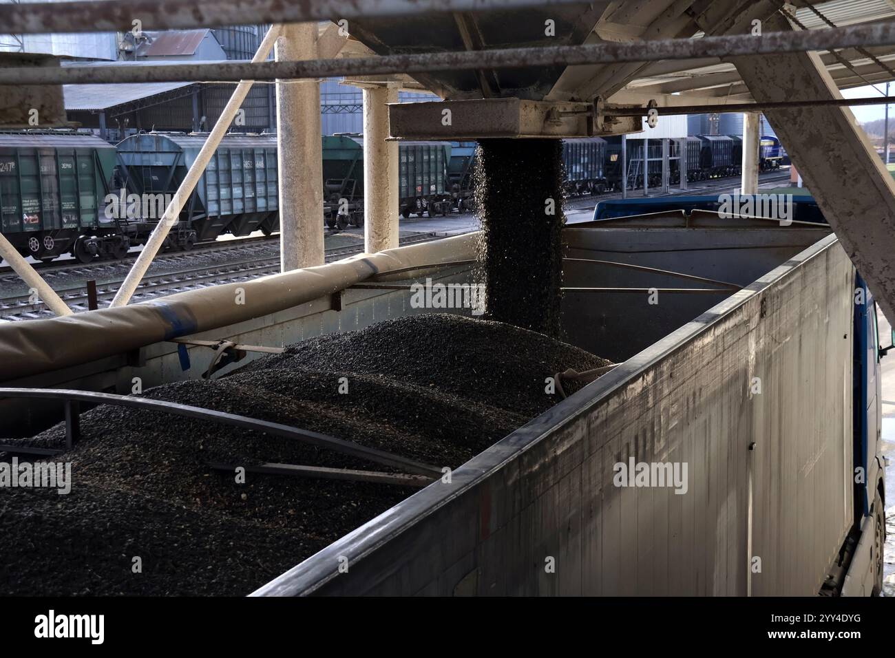 CHERNIHIV REGION, UKRAINE - DECEMBER 18, 2024 - A truck is filled with ...