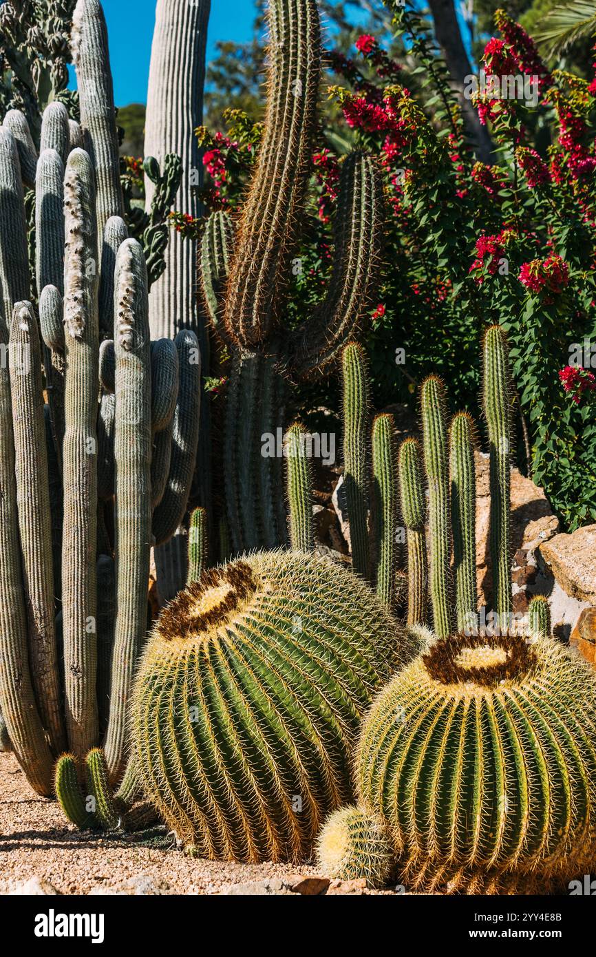 The cap roig botanical gardens hi-res stock photography and images - Alamy