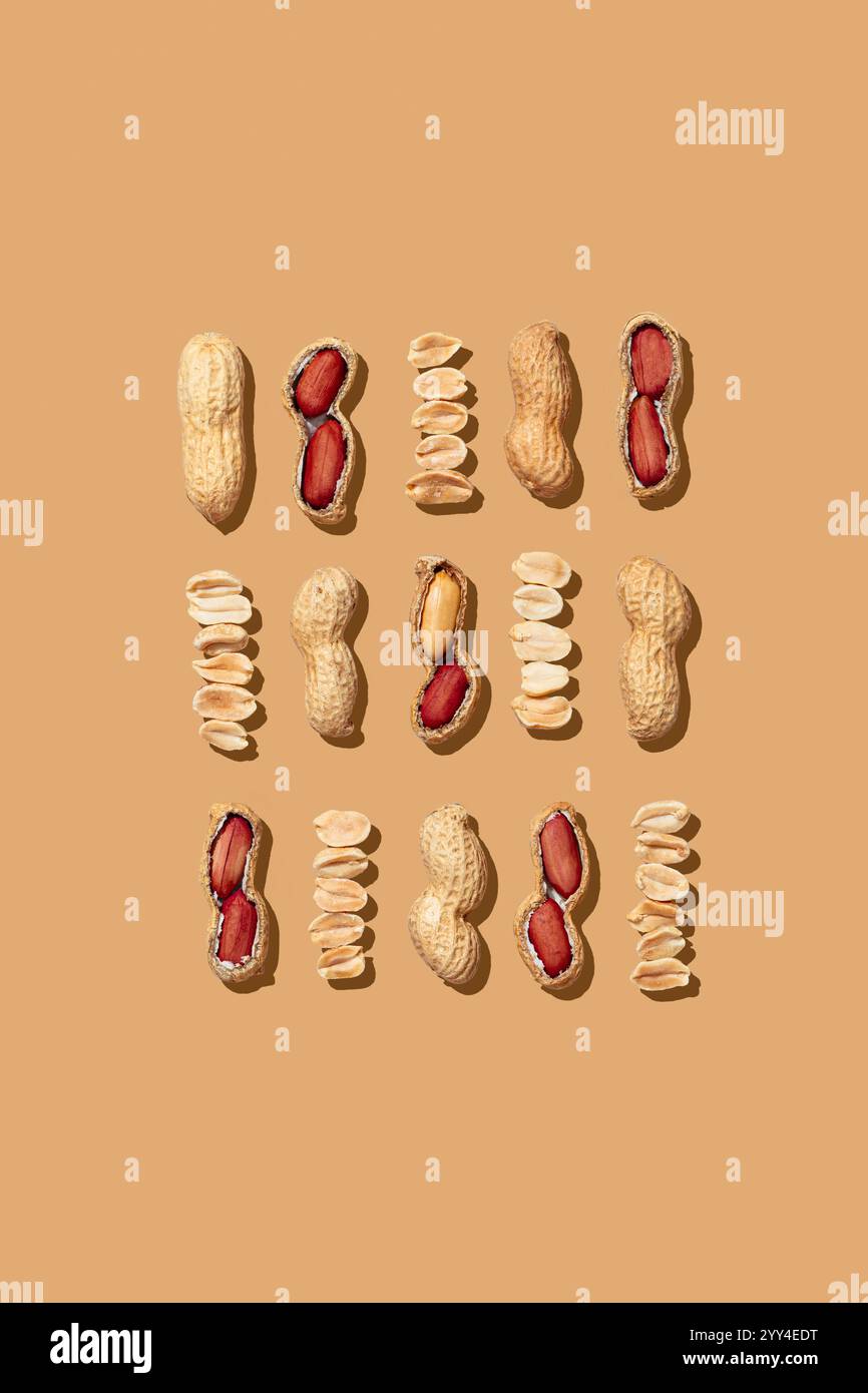 Arranged raw peanuts in different stages of peeling, revealing their ...
