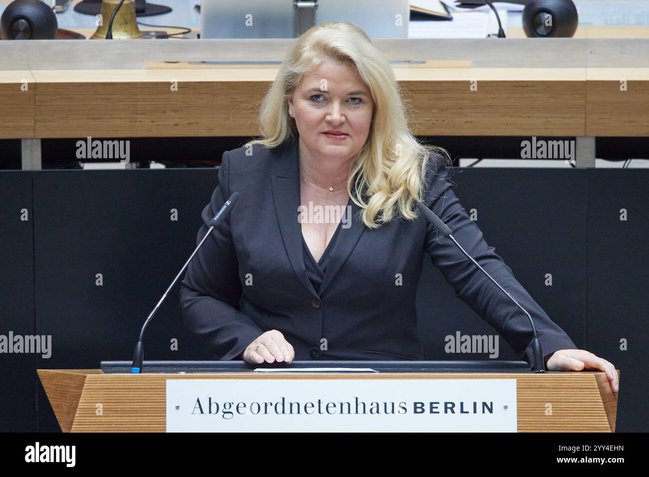 Berlin, Germany. 19th Dec, 2024. Kristin Brinker, AfD parliamentary ...