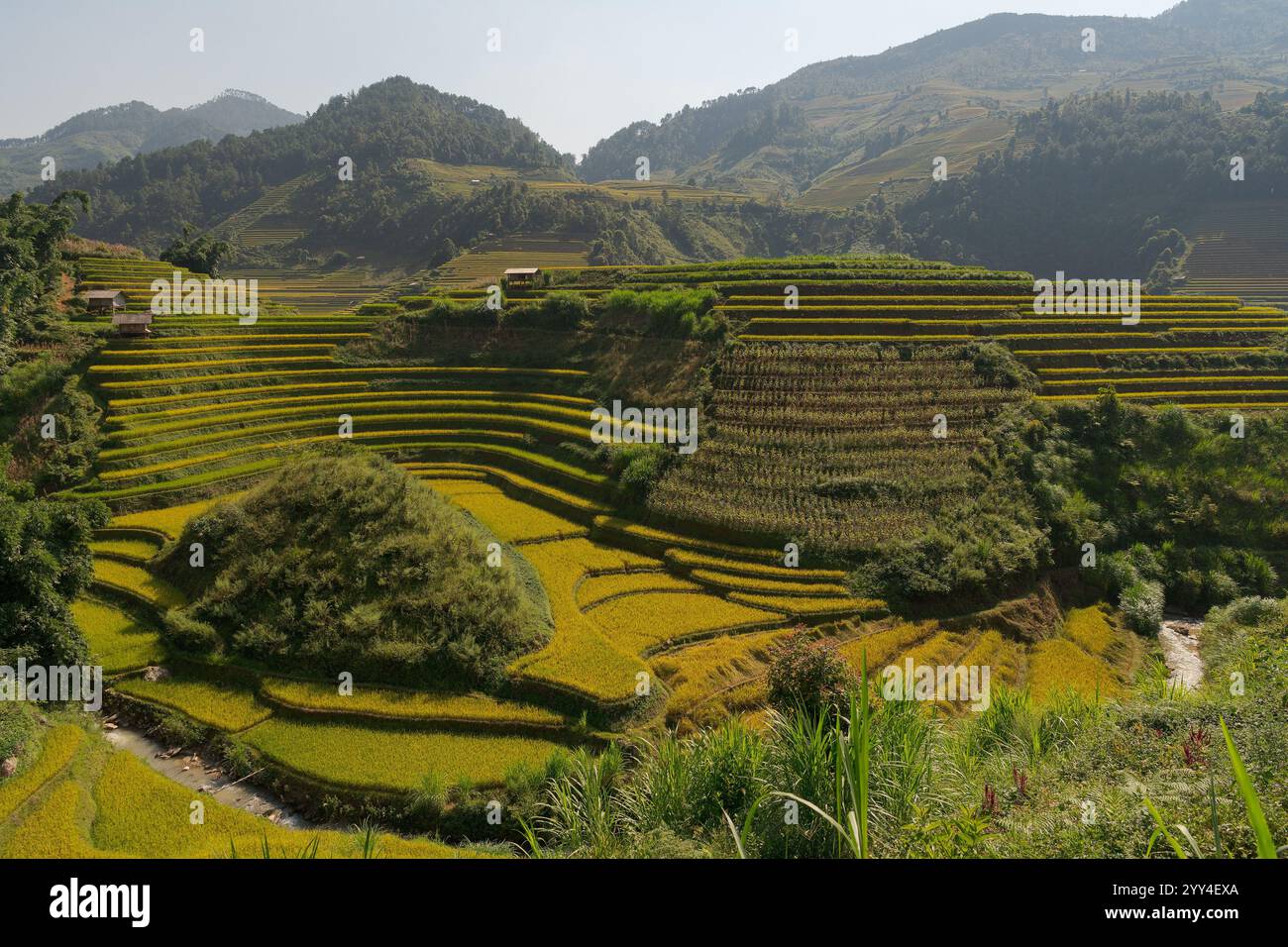 A breathtaking view of lush, green terraced rice fields in Bali ...