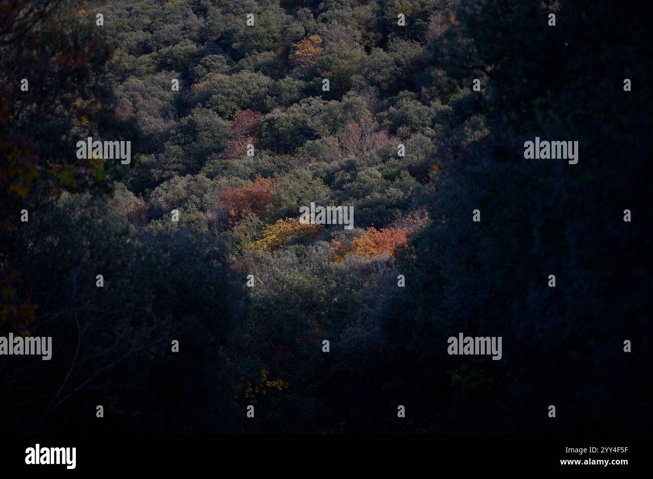 Blend of warm earth tones creates hi-res stock photography and images ...