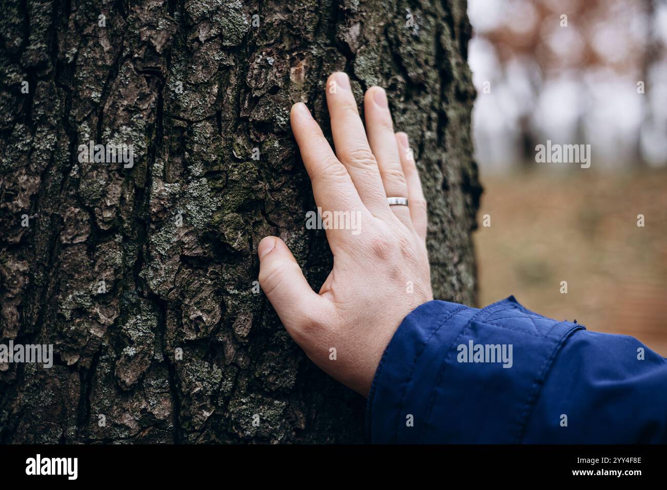 A person's hand with a ring gently touches the rough bark of a tree in ...