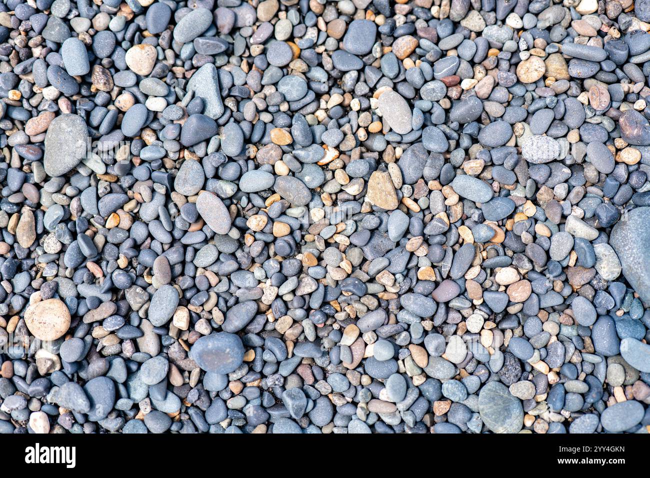 High-resolution image of assorted smooth pebbles in varying sizes and ...