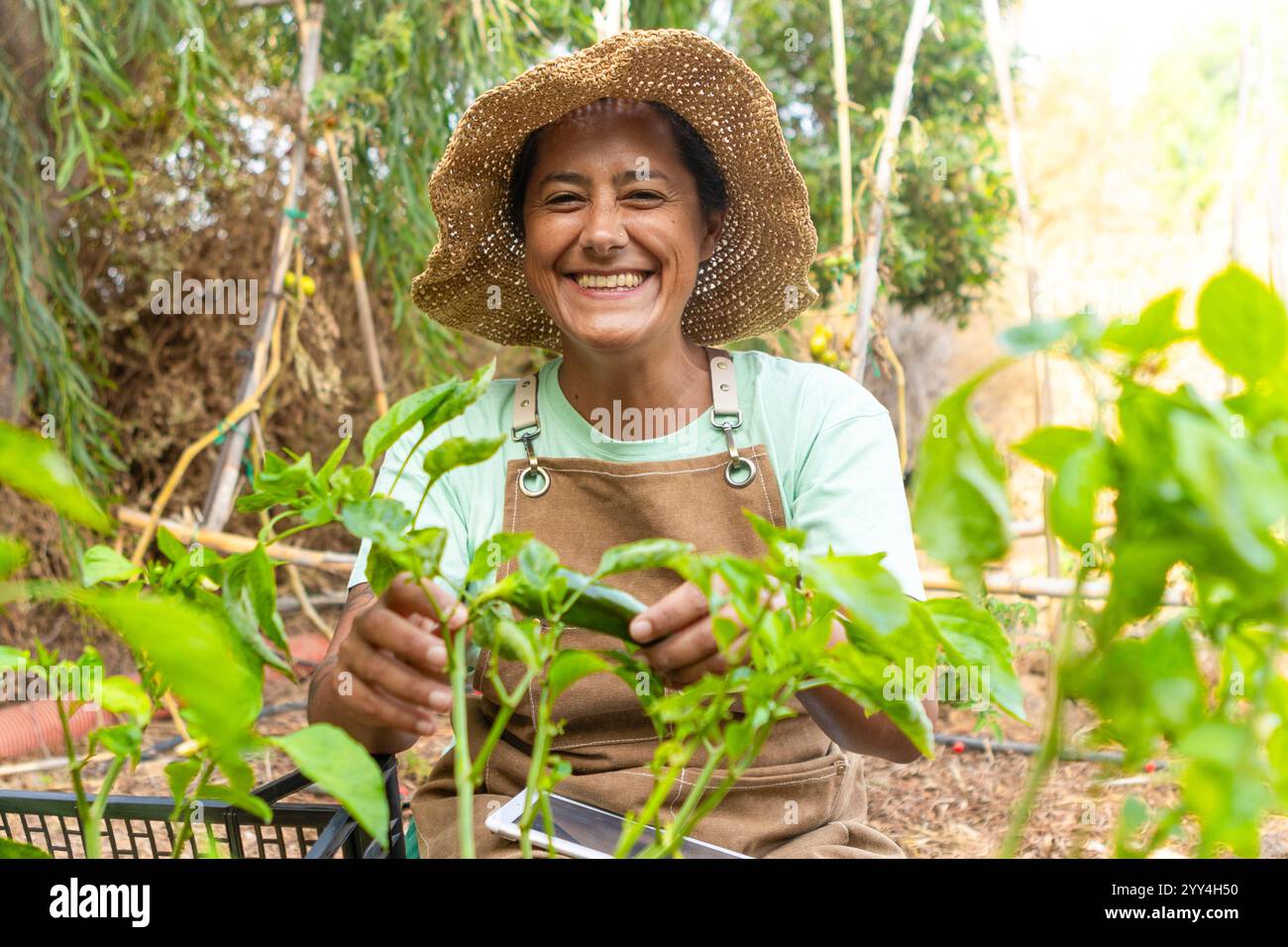 A joyful gardener wearing a straw hat and apron holds a tablet in a ...