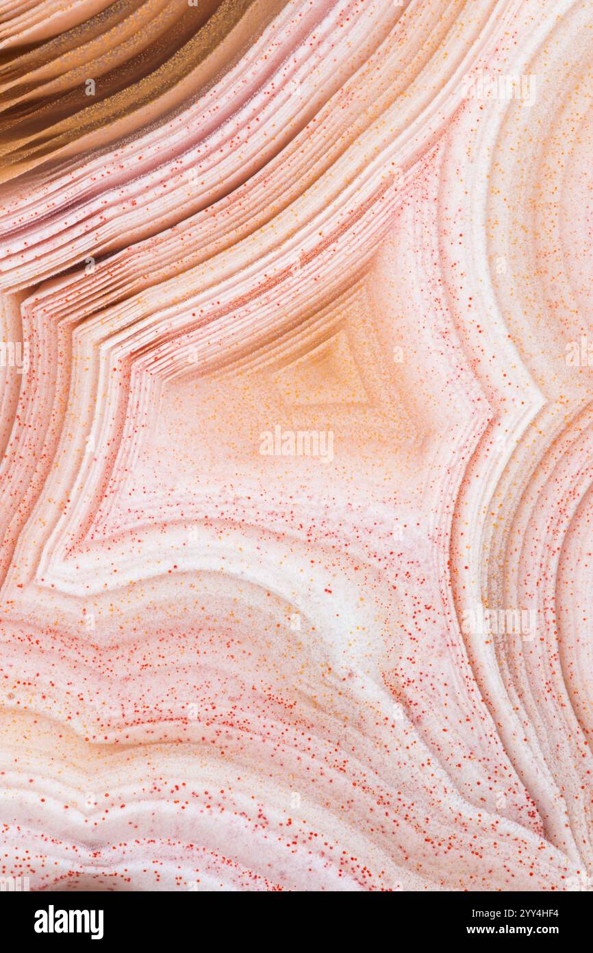 This macrophotograph captures the intricate bands and colors of a cut ...