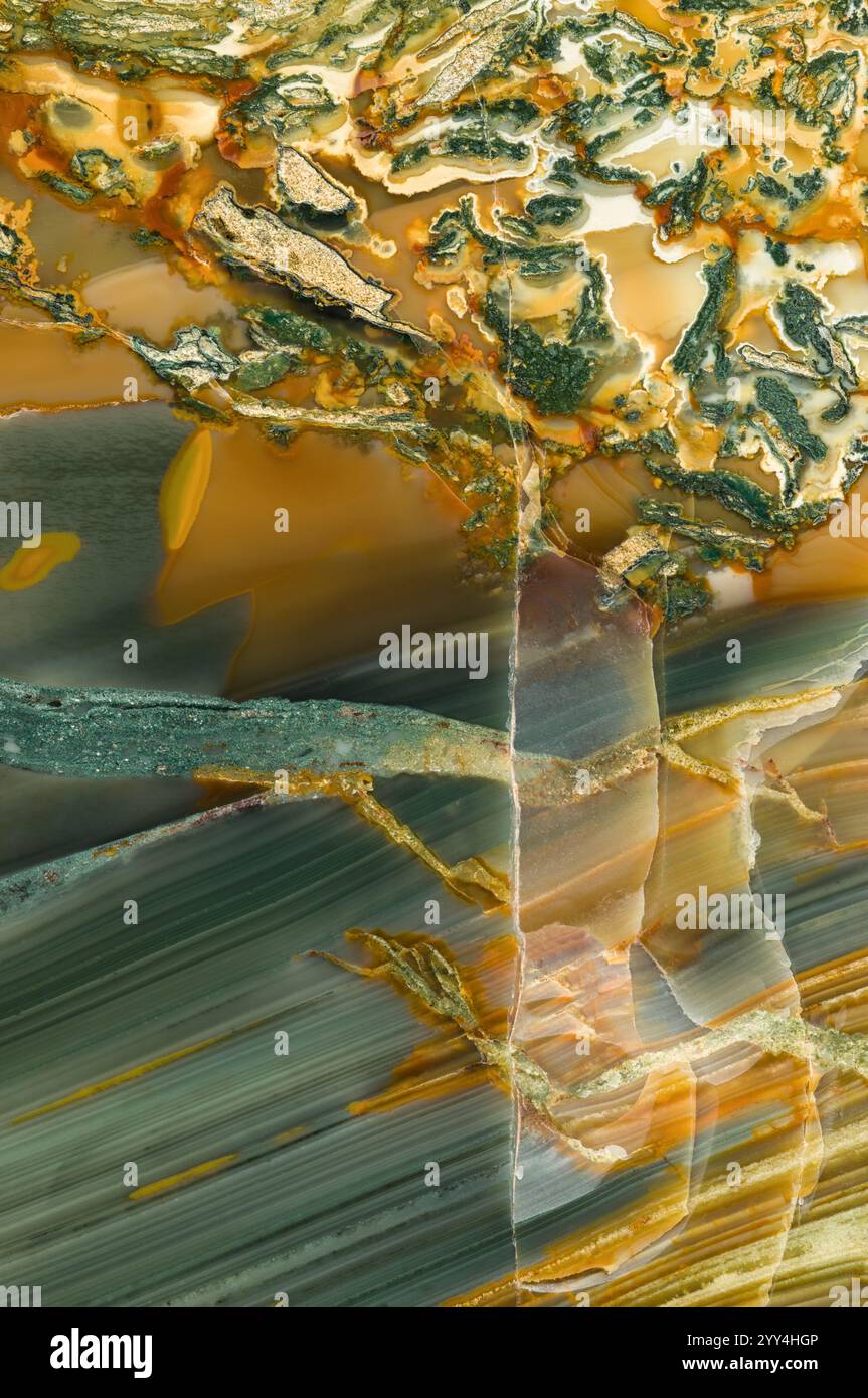 A vibrant, highly detailed image of polished Blue Mountain jasper ...