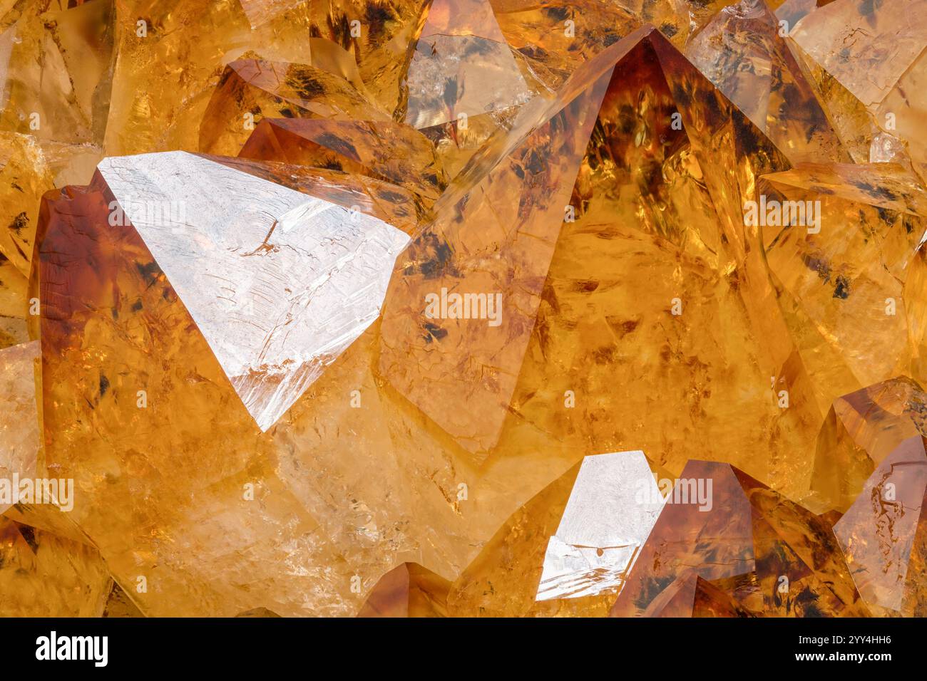 Close-up macro photograph capturing the intricate, crystalline ...